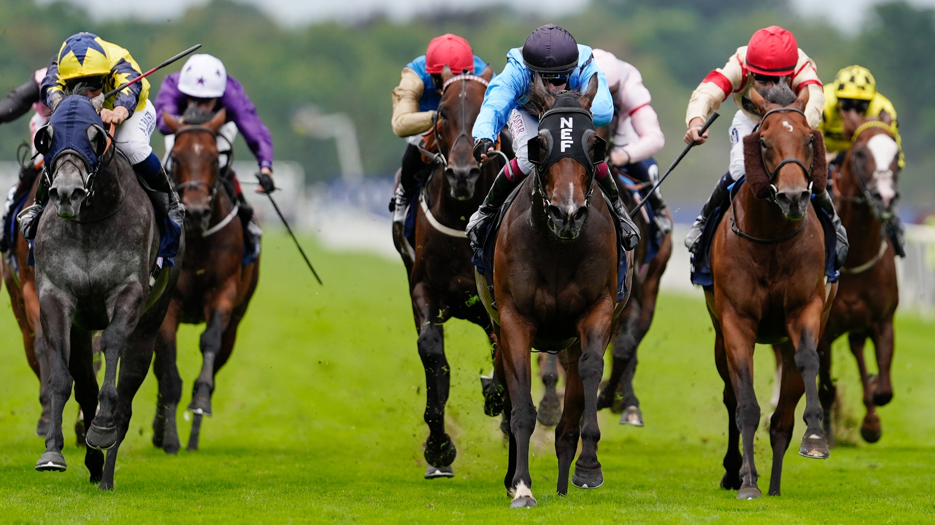 2026 Nunthorpe Stakes News | Dates and vital information.