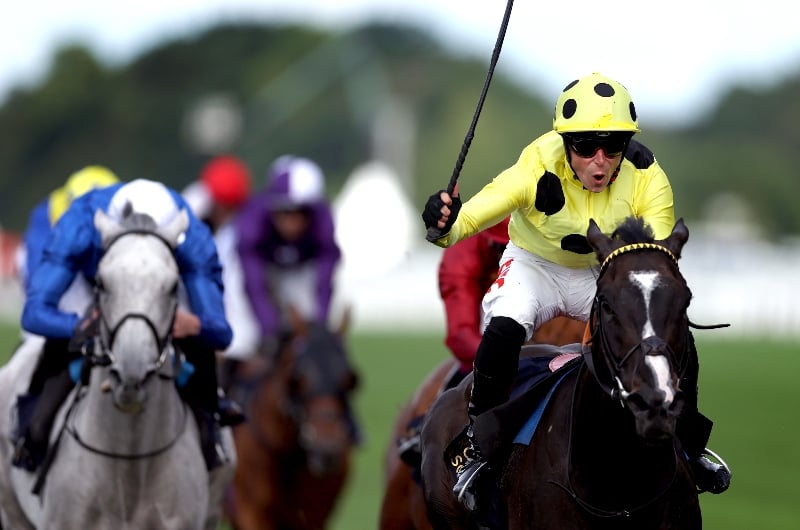 2025 Irish Champion Stakes Tips | Burke's raider offers Royal value at Leopardstown