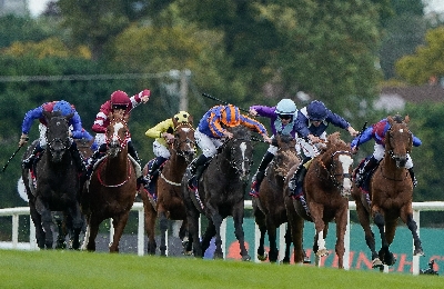 Free Horse Racing Tips For Expert Tips - Racinginsider.com