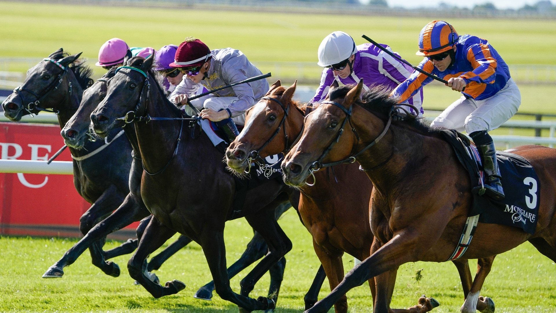 Curragh Tips on September 14th | Irish Champions Weekend 2025 Day 2 ...