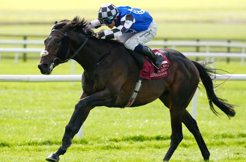 2025 Melbourne Cup Weights | Al Riffa handed top-weight after runaway ...