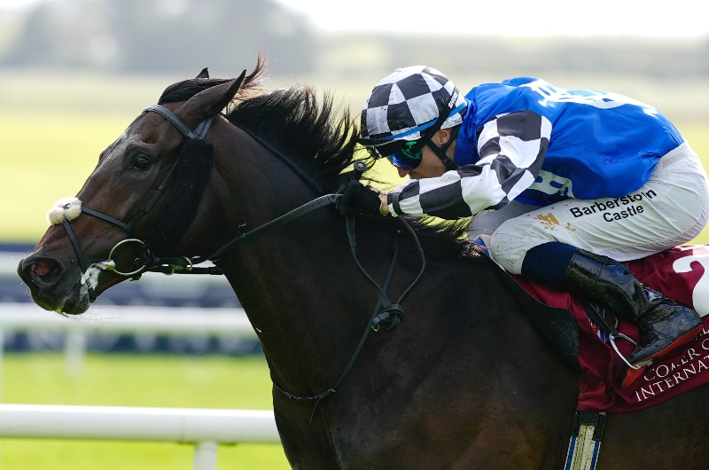 2026 Irish St Leger News | Dates and vital information.