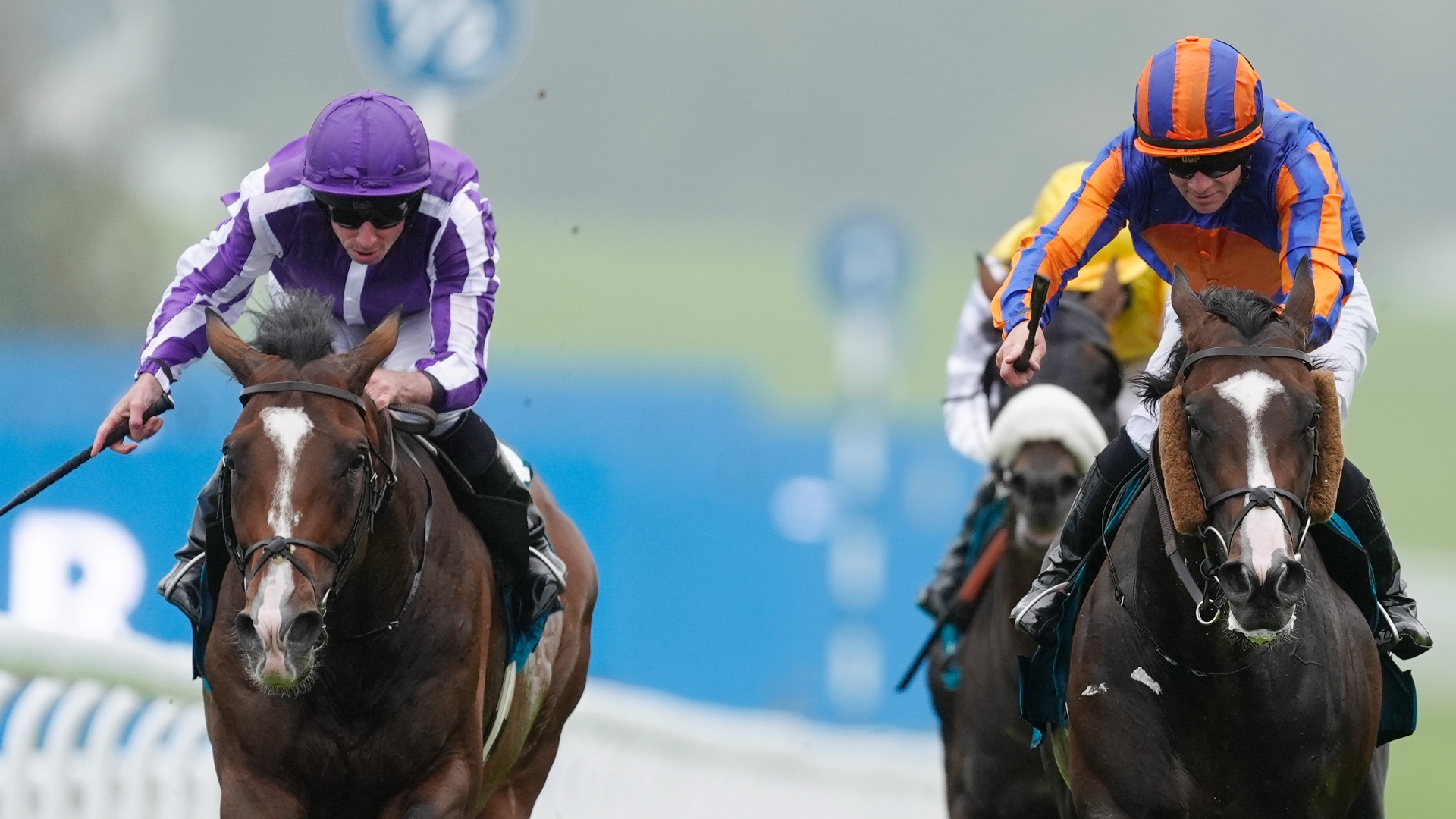 2026 St Leger News | Dates and vital information.