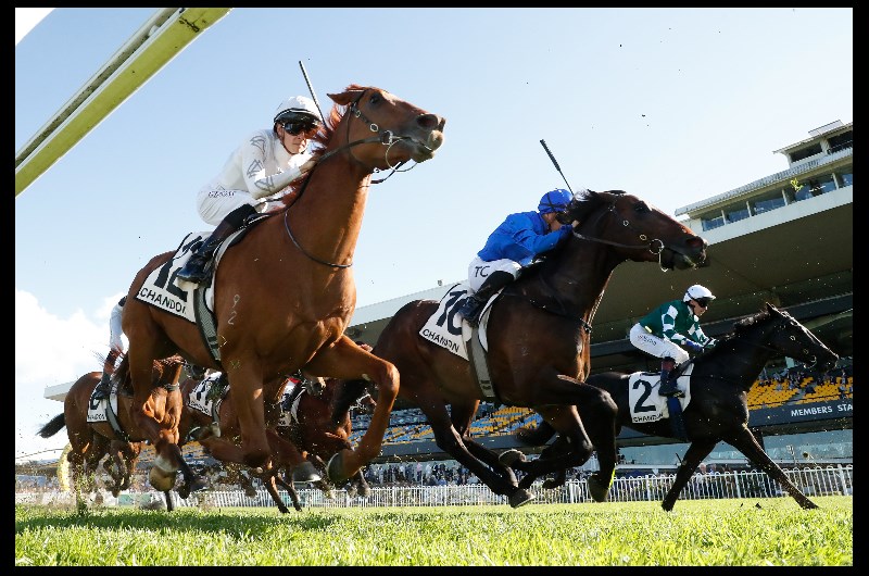 Horse Racing Tips, Previews & Selections - Saturday, September 27