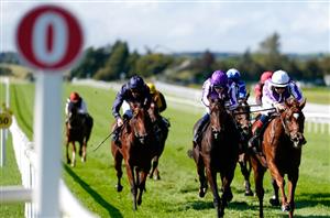 Curragh Tips on September 28th | Three selections on Irish Cesarewitch day