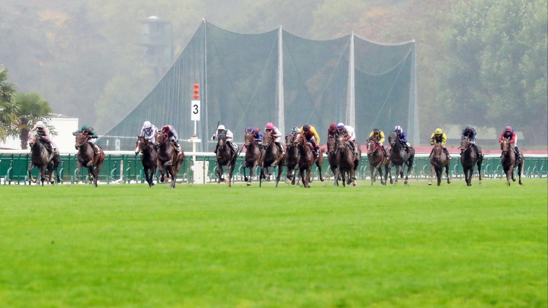 2025 Prix de l'Arc de Triomphe Entries | 17 runners confirmed at seven ...