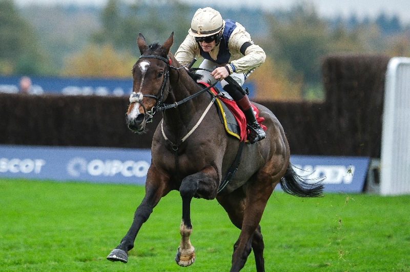 20 Horses To Follow for the 2025/26 Jumps Season – Part 1 (1 - 10)