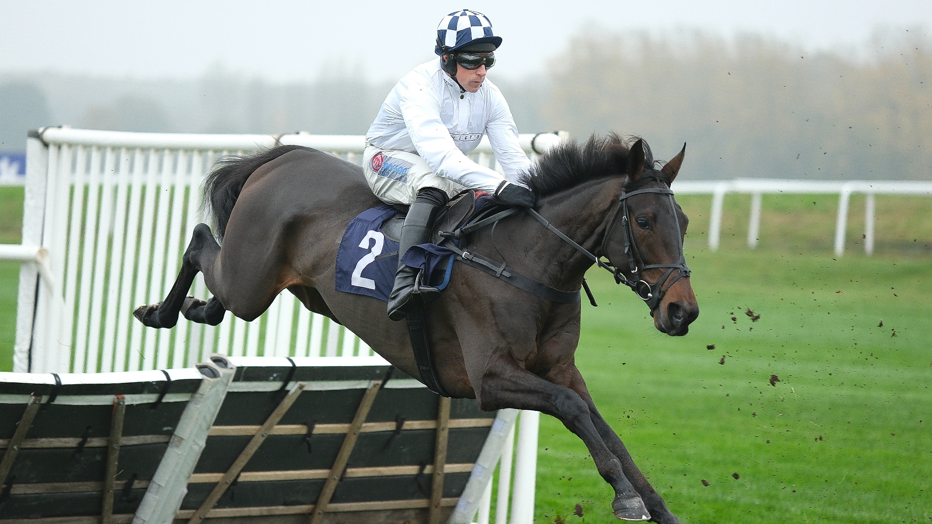 2025 Welsh Champion Hurdle Tips | Skelton's mare worth chancing at Chepstow