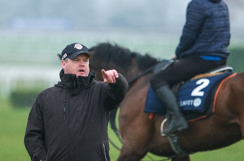 Gordon Elliott Stable Tour 2025/26 | Key quotes from leading Irish trainer