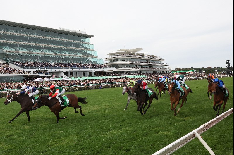 Horse Racing Tips, Previews & Selections - Saturday, November 1