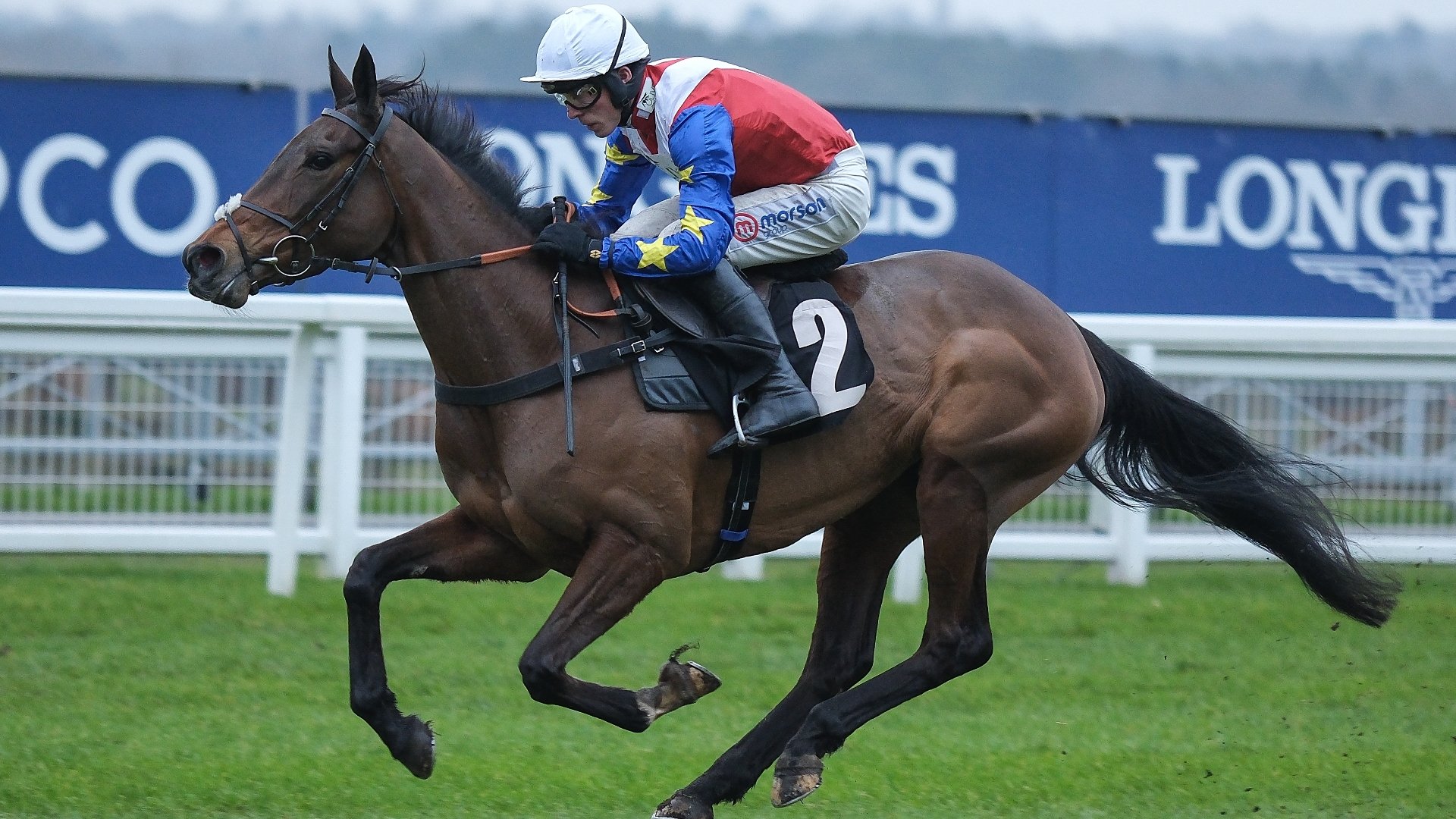 Harry Derham Stable Tour 2025/26 | Key quotes from up-and-coming trainer