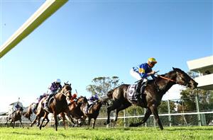 Sunshine Coast Racing Tips for November 14 - Bundella is set for back ...