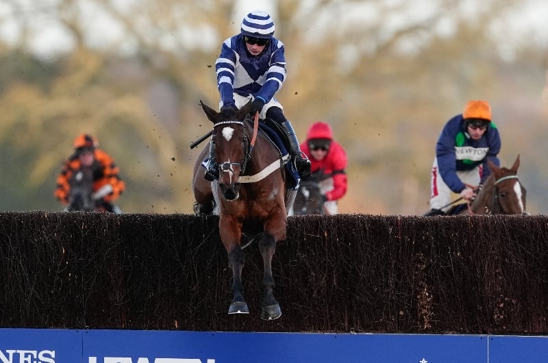 Eye On Cheltenham 25/26 Week 6 | Impose Toi and Honesty Policy cut for ...