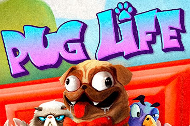 DailyGamba Lives the Pug Life with 1,145.60x Razed Slot Multiplier