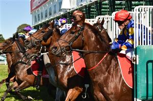 Ascot Betting Tips Saturday January 17, 2026 | Best Bets & Value