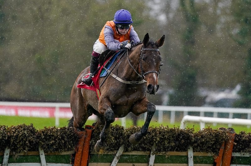 2026 Thyestes Handicap Tips - Odds and two selections for Gowran Park