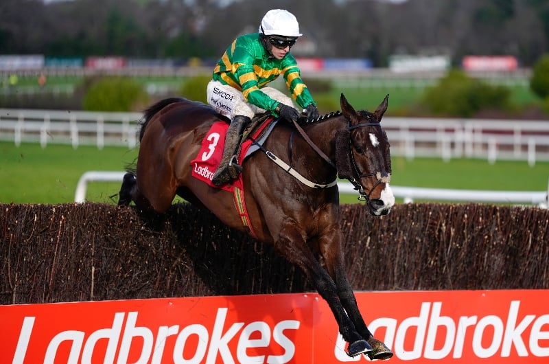 Eye On Cheltenham Week 12 | Fact To File, Majborough and ...