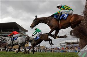 Arkle Challenge Trophy 2026 Tips: Predictions & Best Bets