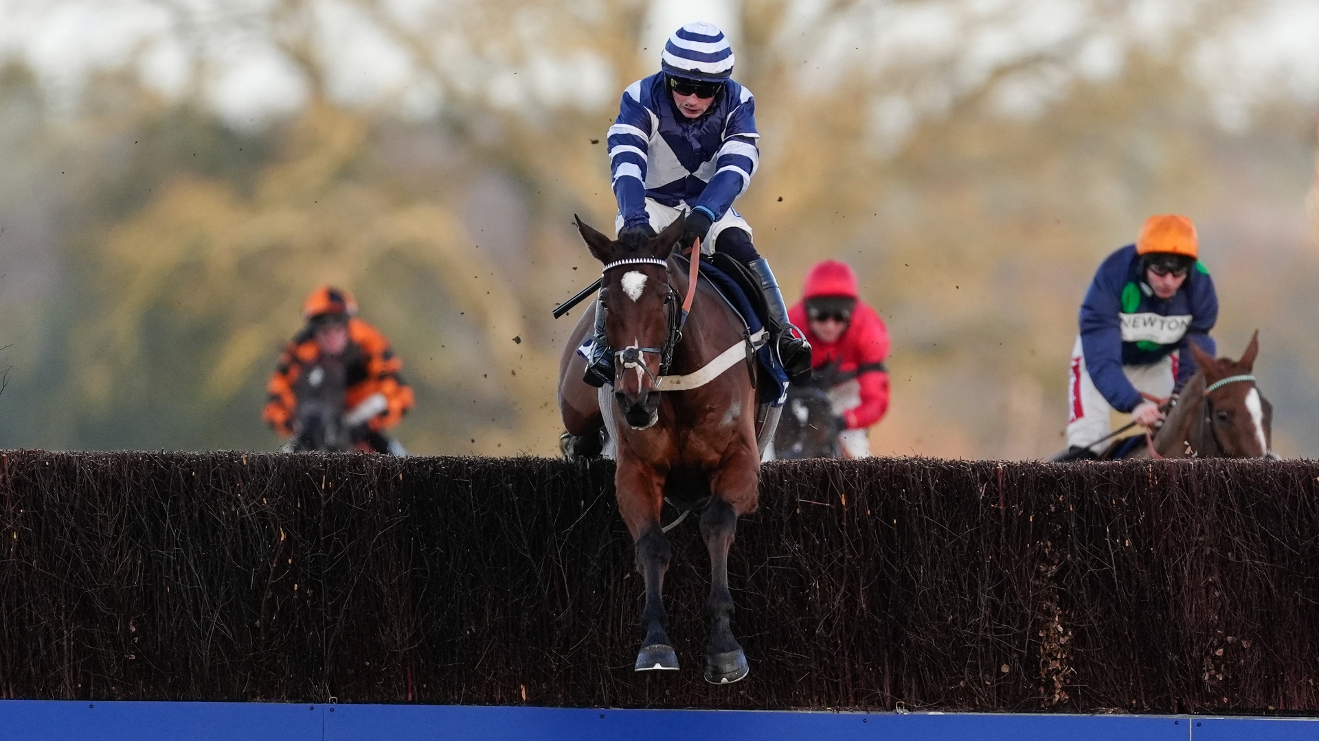 Arkle Challenge Trophy 2026 Tips: Predictions & Best Bets