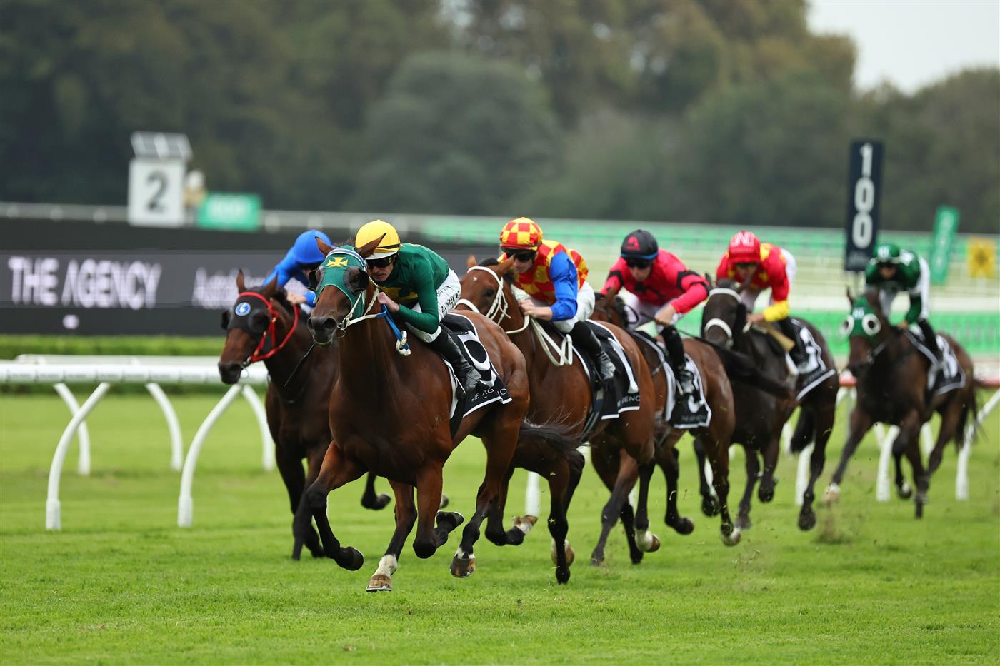 Randwick Guineas Day 2026 Photos - Sydney Racing Photo Gallery