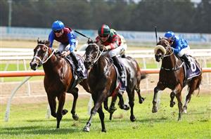 Morphettville Racing Tips for June 20 - Harsh is set to win again