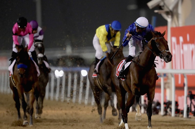 UAE Racing Tips & Dubai Racing Tips | RacingInsider.com