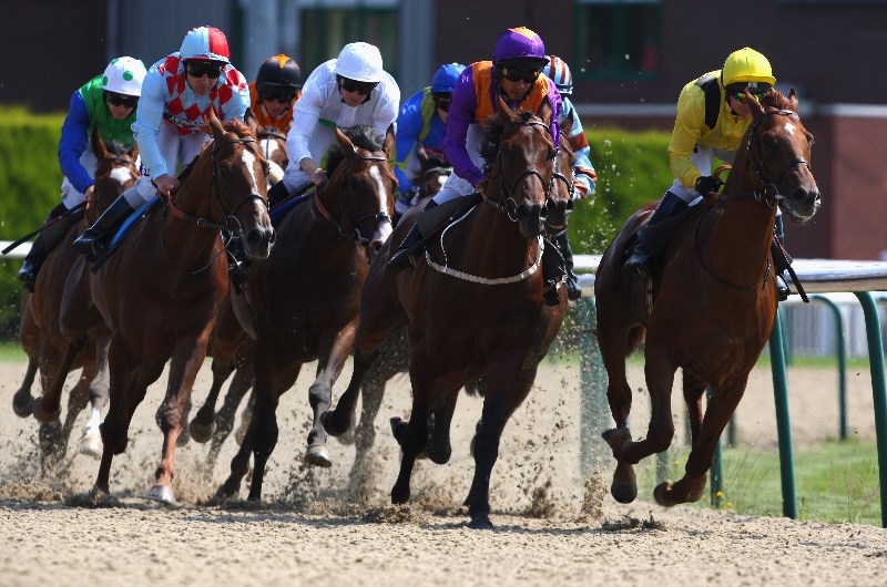 Punter wins €12,000 from €60 horse racing bets