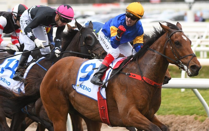 Sir Rupert Clarke Stakes 2025 Betting Tips, Odds, Field, Results ...