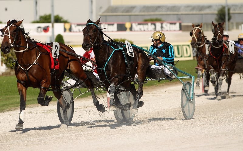 Harness Racing Betting Tips, Fixtures & Bookmaker Odds. Bet on Harness ...