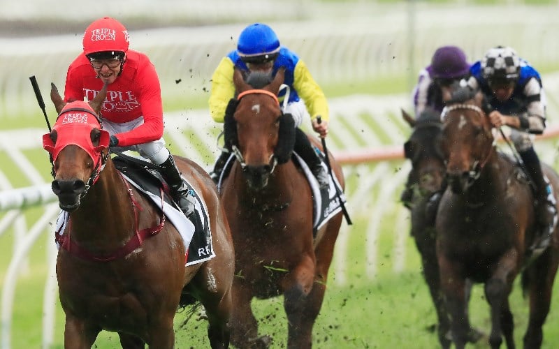 Sydney Spring Racing Carnival Betting Tips, Odds & Race Previews
