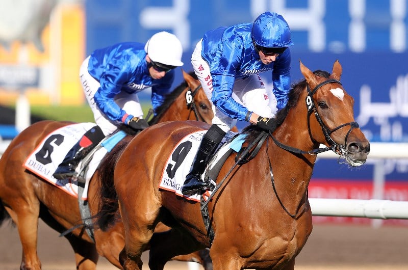 Melbourne Cup News - Cross Counter back to defend Cup crown