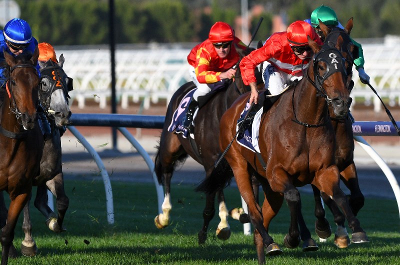 Seymour Racing Tips For November 14 - Can Bakery Hill bring home the bread?