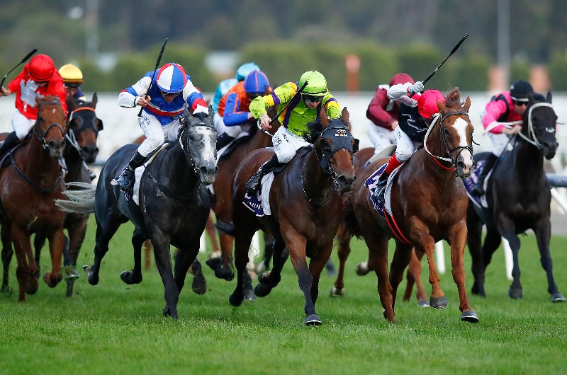 Punter Lands Monster Multi At Canberra - How did he turn $200 into over ...