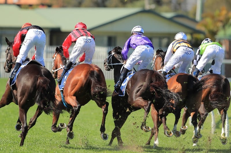 Rosehill Racing Preview For February 22 2020 - Mr Wong to race down the ...