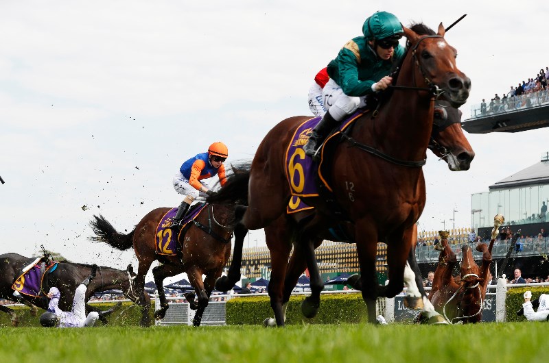 $15,000 horse racing contest this Saturday with Draftstars - bets.com.au