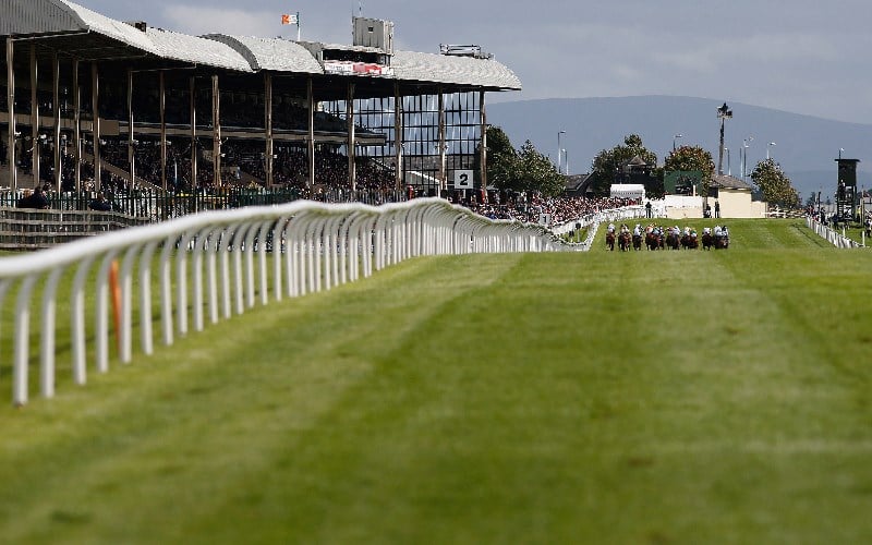 Irish Derby Festival Tips & Predictions | Betting updates, odds, tips ...