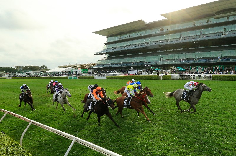 Randwick Blackbookers - Latest Horses To Follow