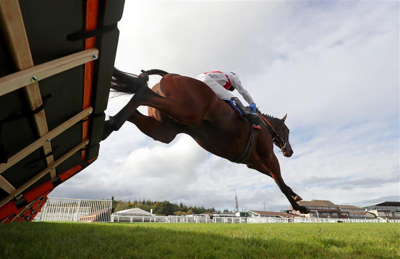 Racing Pictures | National Hunt racing from Exeter races on Thursday ...