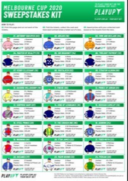2020 Melbourne Cup Sweepstake Kit