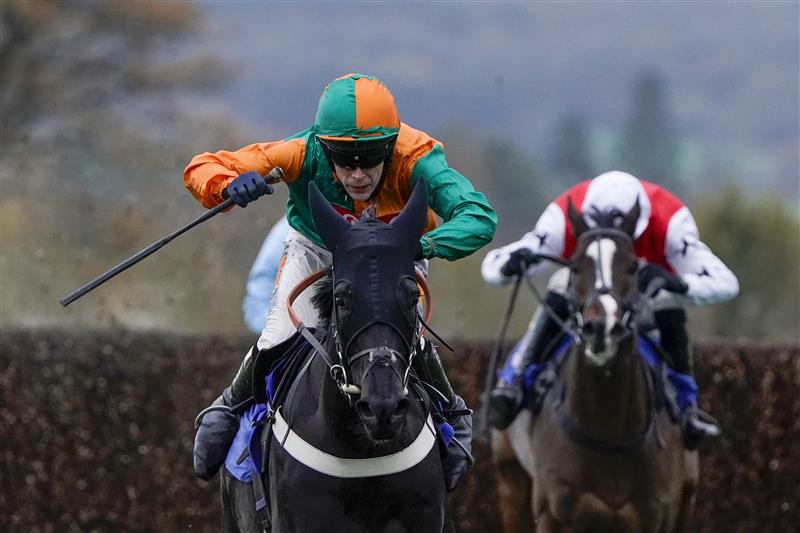 Racing Photos | Taunton racecourse on Thursday 12th November.