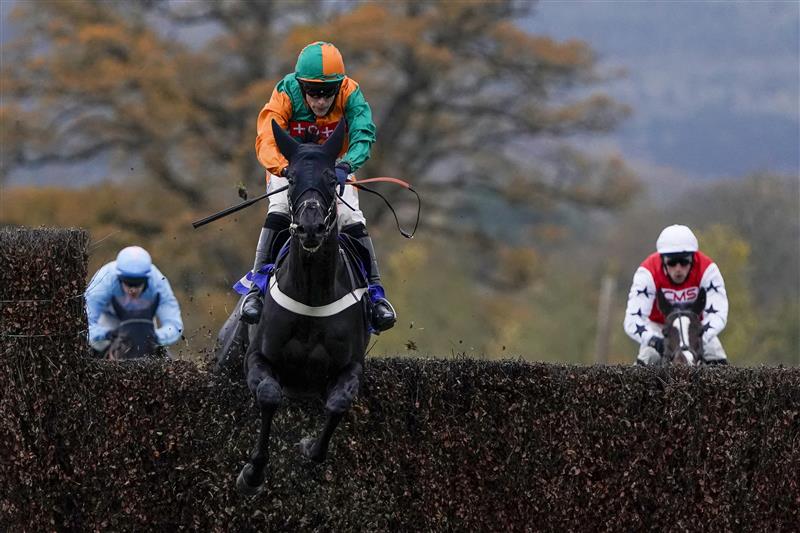 Racing Photos | Taunton racecourse on Thursday 12th November.