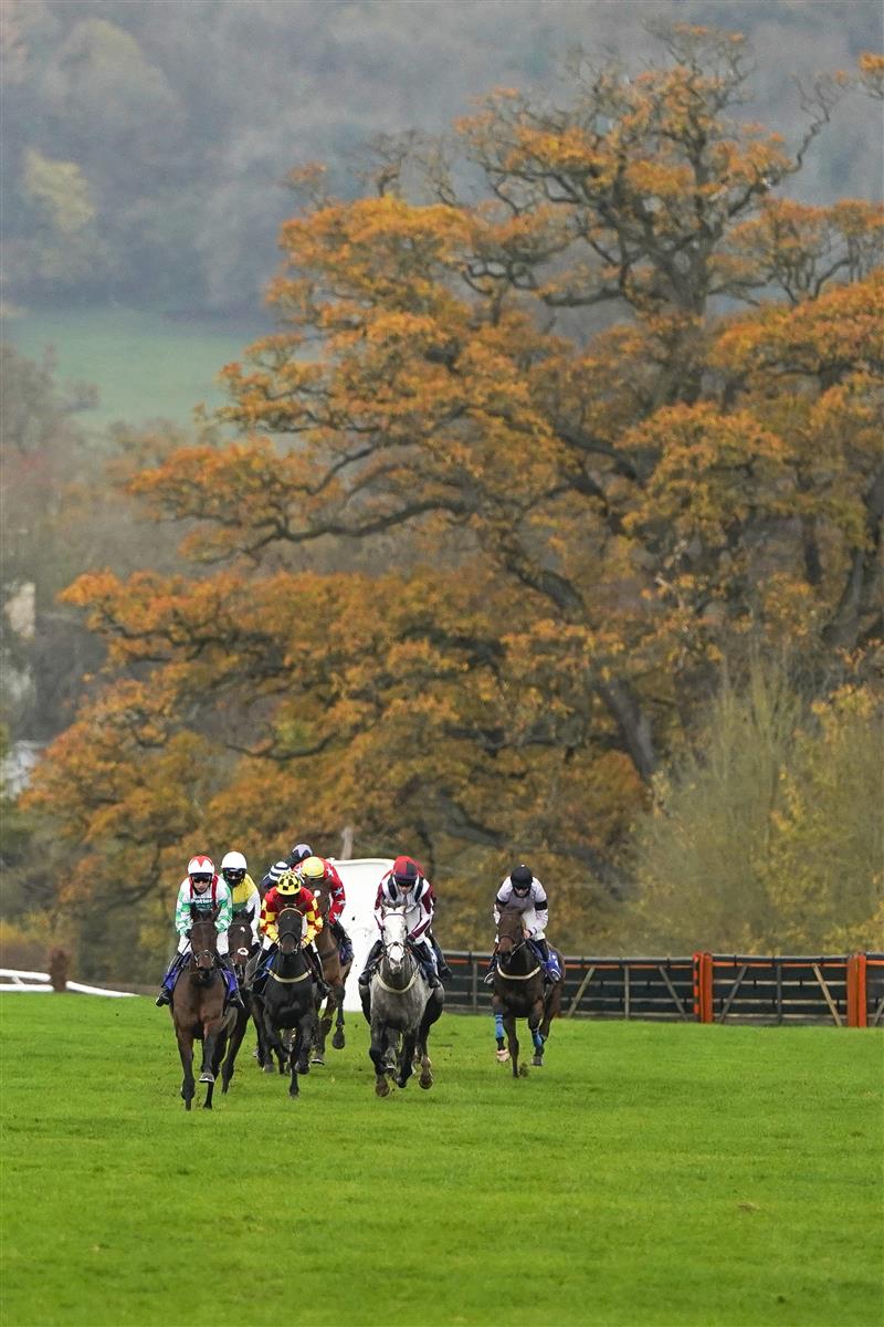 Racing Photos | Taunton racecourse on Thursday 12th November.