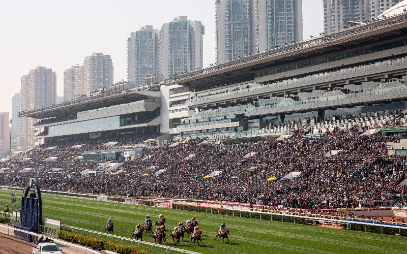 Hong Kong Racing Tips | Free Expert Tips | RacingInsider.com