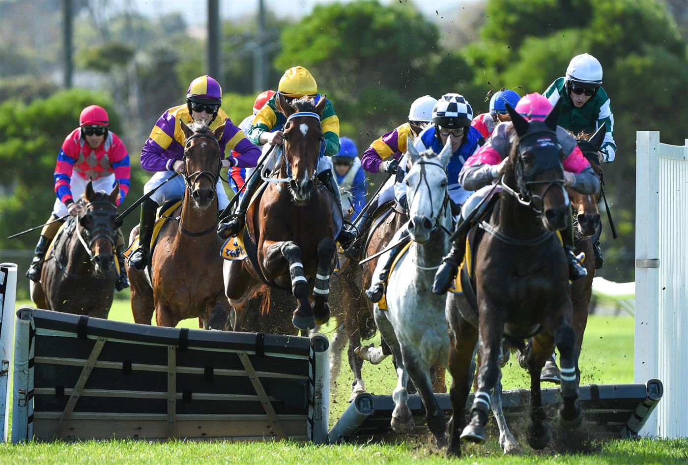 2021 Warrnambool Racing Carnival - Day Two Highlights (Pictures)