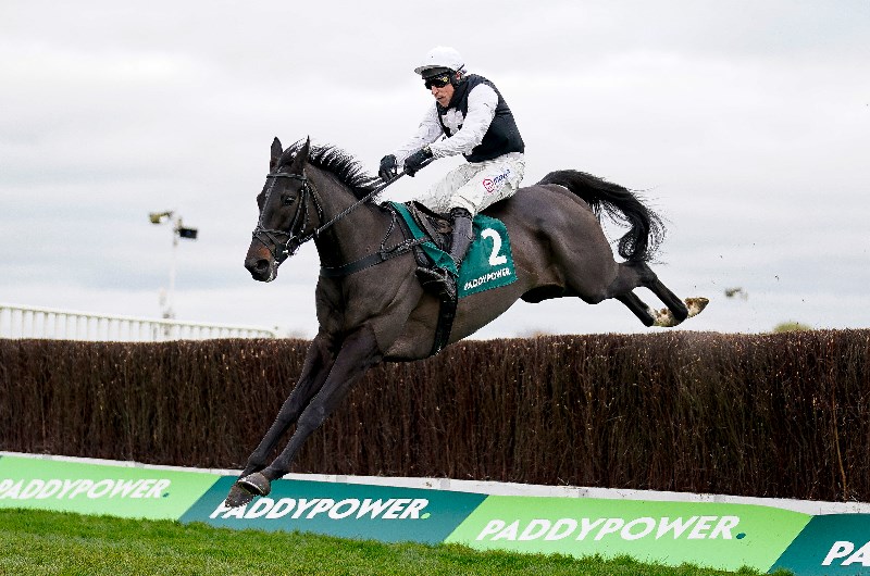 Dan Skelton Stable Tour 2022/23 | Key quotes and news