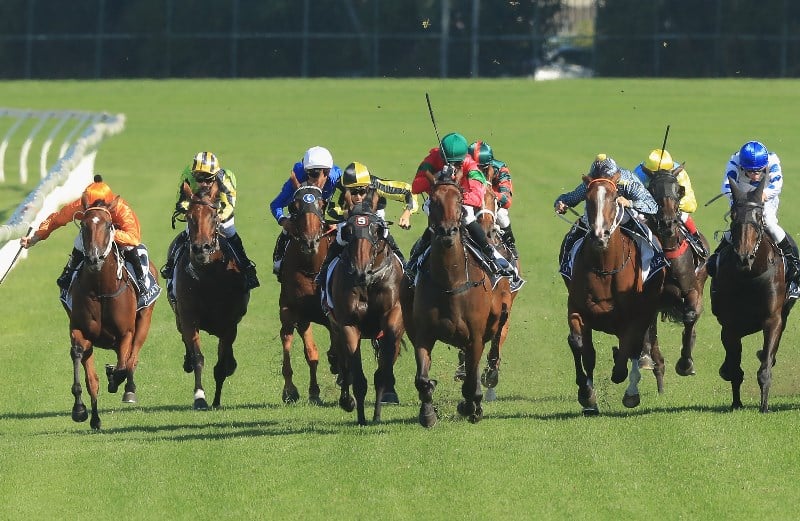 Saturday Racing Tips - Best & Value Bets for March 12