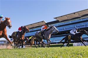 Australian Horse Racing Tips, Best Bets & Daily Previews