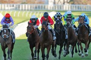 Australian Horse Racing Tips, Best Bets & Daily Previews