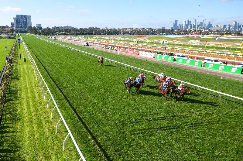 Australian Horse Racing Tips, Best Bets & Daily Previews