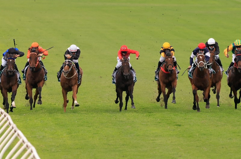 Australian Horse Racing Tips, Best Bets & Daily Previews
